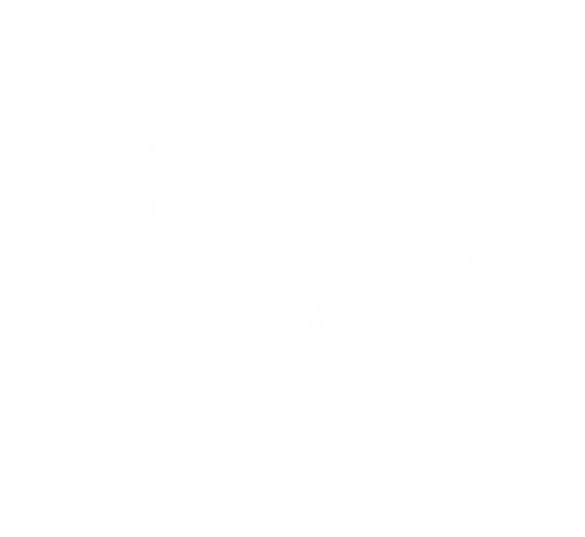 Treefera | Treefera